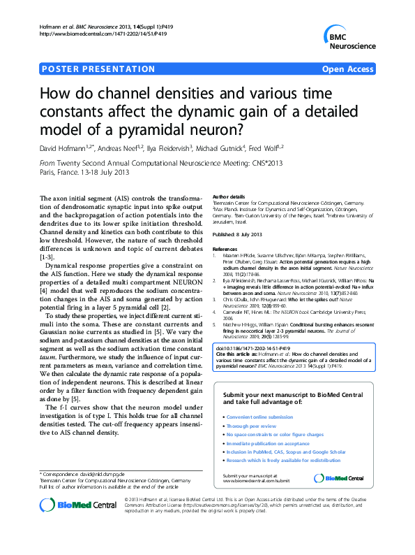 (PDF) How do channel densities and various time constants affect the ...