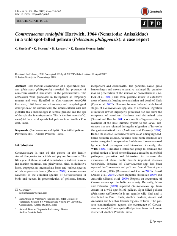 (PDF) Contracaecum rudolphii Hartwich, 1964 (Nematoda: Anisakidae) in a ...