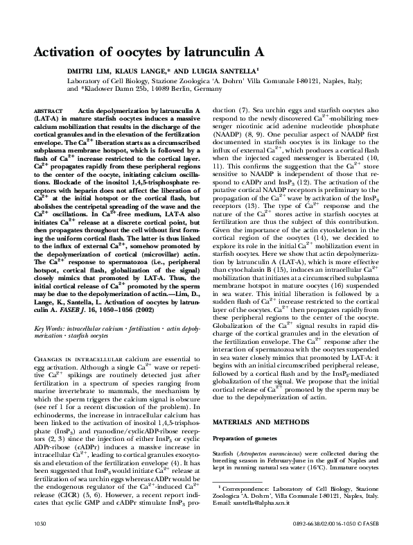 (PDF) Activation of oocytes by latrunculin A