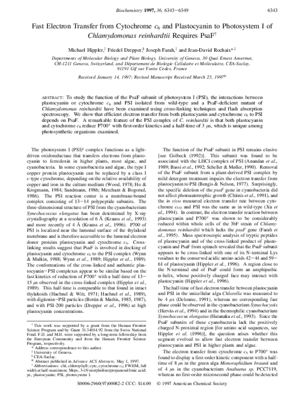 (PDF) Fast Electron Transfer from Cytochrome c6 and Plastocyanin to ...