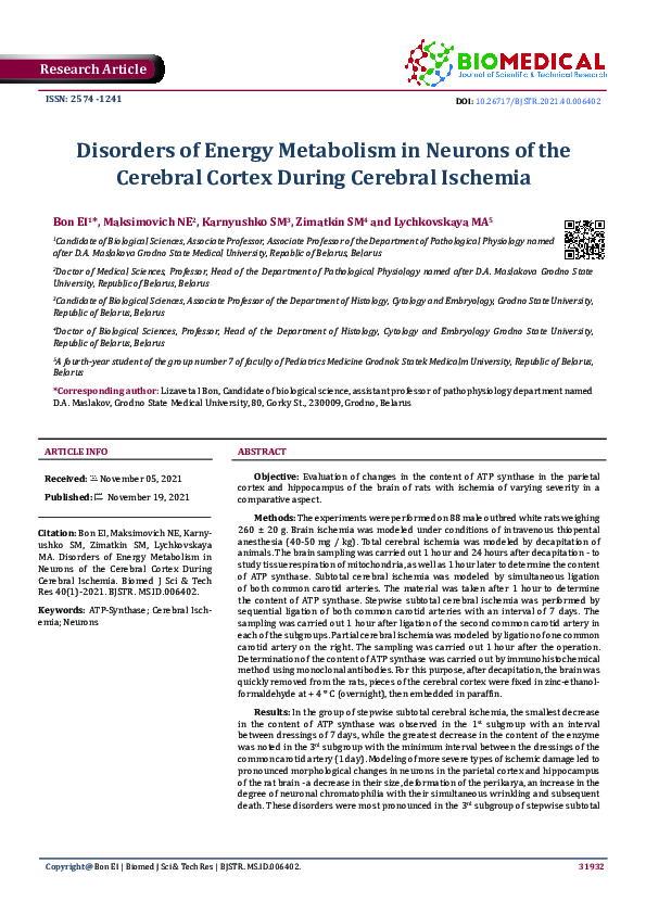 (PDF) Disorders of Energy Metabolism in Neurons of the Cerebral Cortex ...