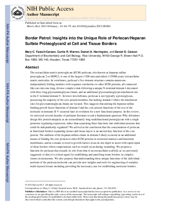 (PDF) Border patrol: Insights into the unique role of perlecan/heparan ...