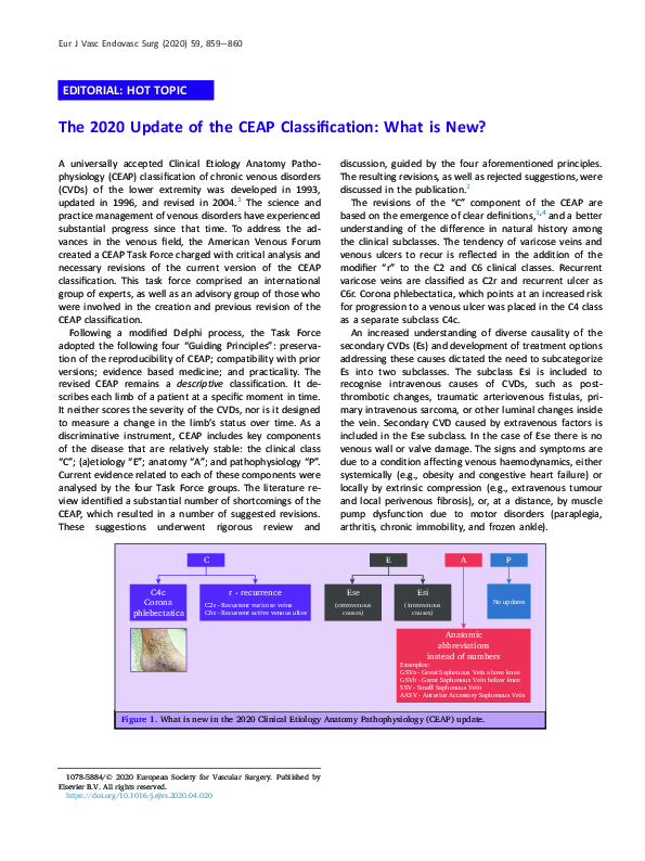 (PDF) The 2020 Update of the CEAP Classification: What is New?