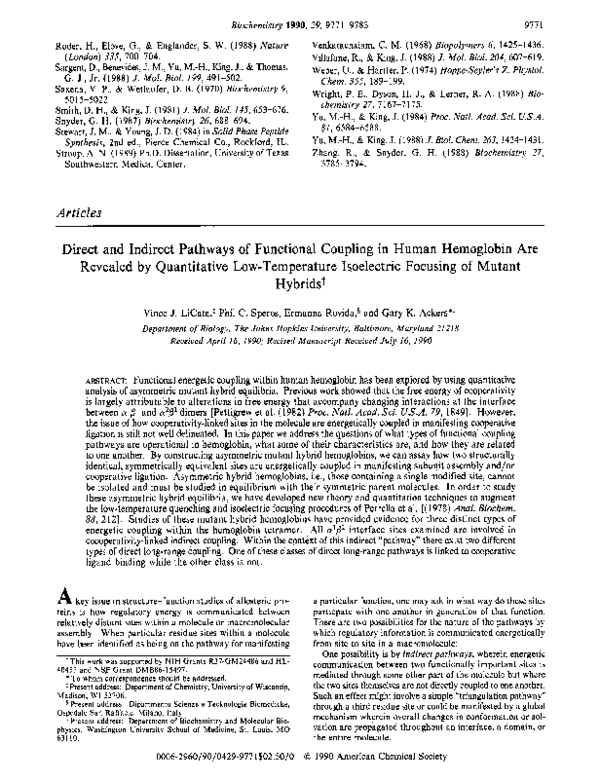 (PDF) Direct and indirect pathways of functional coupling in human ...