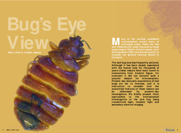 (PDF) A Bug's Eye View