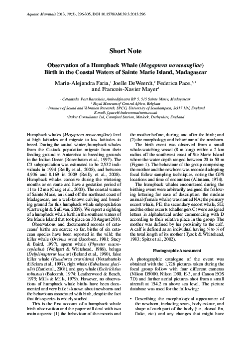 (PDF) Short Note: Observation of a Humpback Whale (Megaptera ...