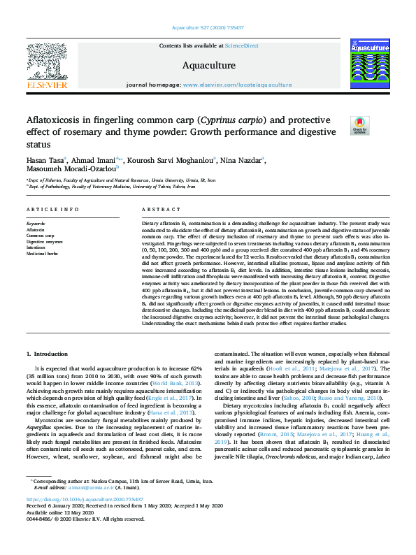 (PDF) Aflatoxicosis in fingerling common carp (Cyprinus carpio) and ...