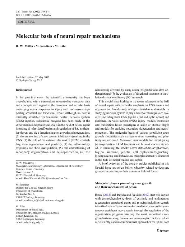 (PDF) Molecular basis of neural repair mechanisms