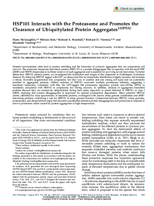 (PDF) HSP101 Interacts with the Proteasome and Promotes the Clearance ...
