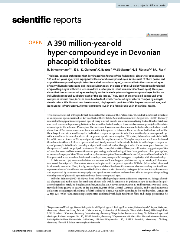 (PDF) A 390 million-year-old hyper-compound eye in Devonian phacopid ...