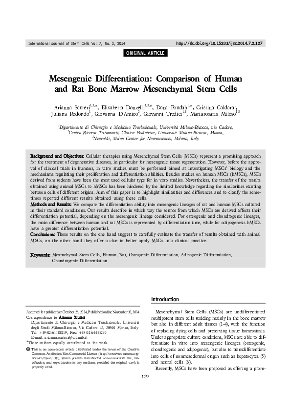 (PDF) Mesengenic Differentiation: Comparison of Human and Rat Bone ...