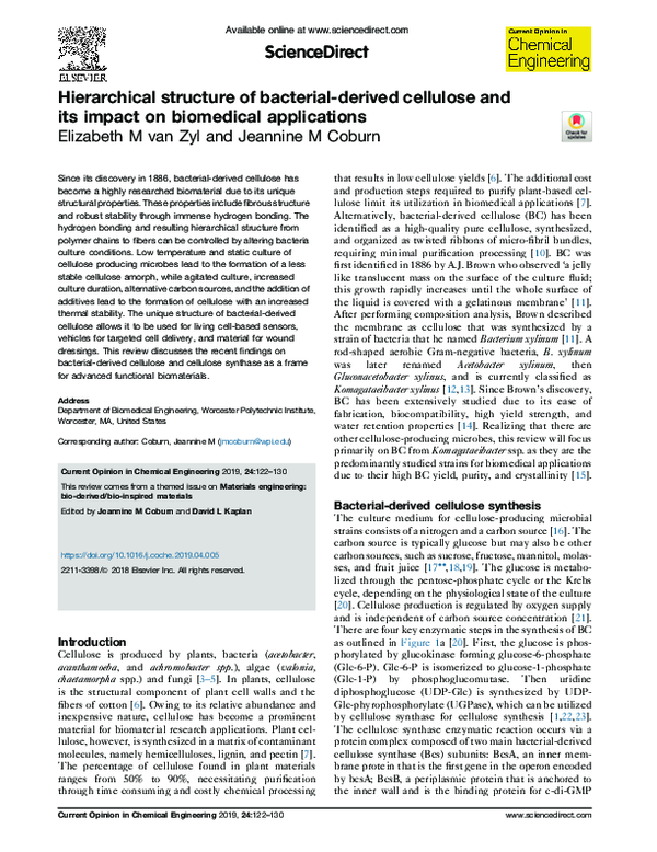 (PDF) Hierarchical structure of bacterial-derived cellulose and its impact on biomedical ...