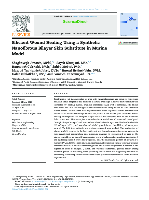 (PDF) Efficient Wound Healing Using a Synthetic Nanofibrous Bilayer ...