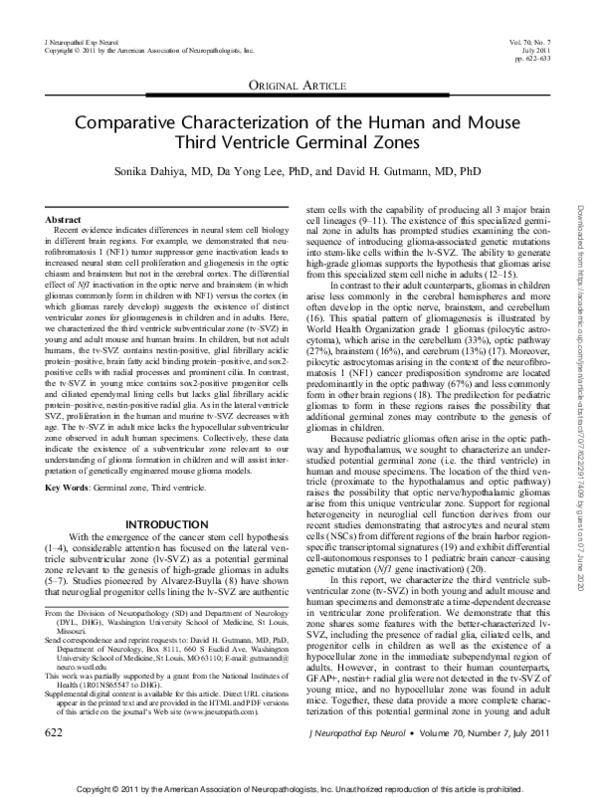 (PDF) Comparative Characterization of the Human and Mouse Third ...