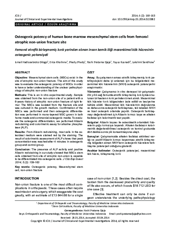 (PDF) Osteogenic potency of human bone marrow mesenchymal stem cells from femoral atrophic non ...