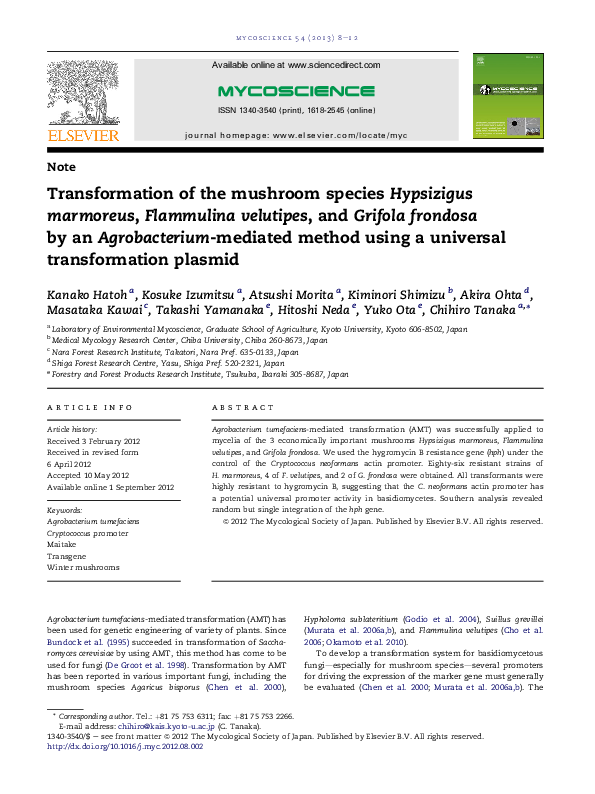 (PDF) Transformation of the mushroom species Hypsizigus marmoreus ...