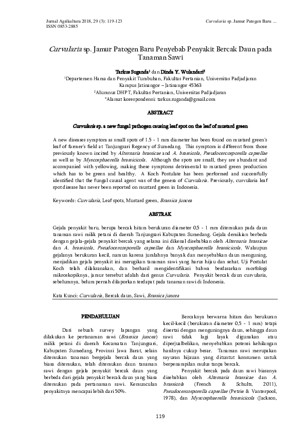 (PDF) Curvularia sp. Jamur Patogen Baru Penyebab Penyakit Bercak Daun ...