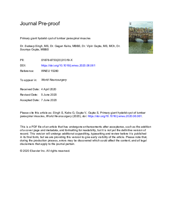 (PDF) Primary Giant Hydatid Cyst of Lumbar Paraspinal Muscles
