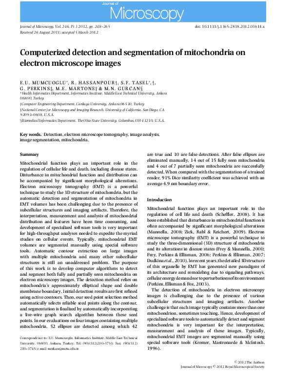 (PDF) Computerized detection and segmentation of mitochondria on electron microscope images