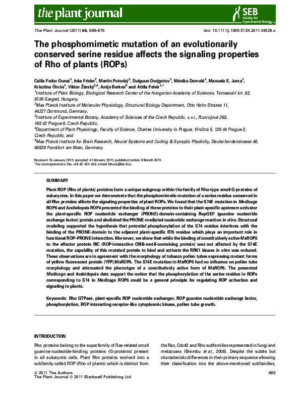(PDF) Phosphomimetic Mutation Alters ROP Signaling