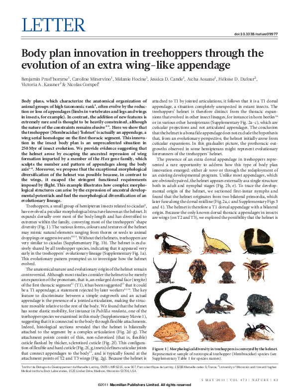 (PDF) Body plan innovation in treehoppers through the evolution of an ...