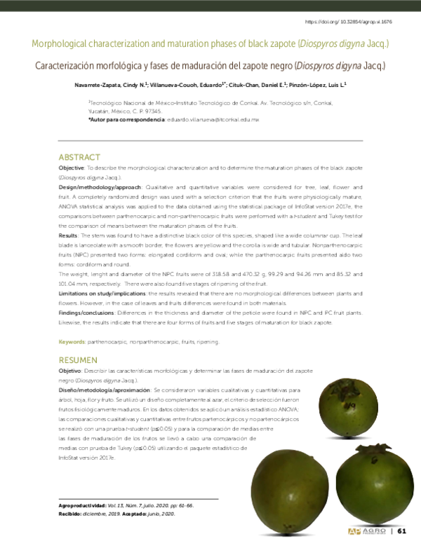 (PDF) Caracterización morfológica y fases de maduración del zapote negro (Diospyros digyna Jacq.)