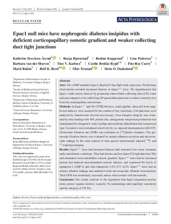 (PDF) Epac1 null mice have nephrogenic diabetes insipidus with ...