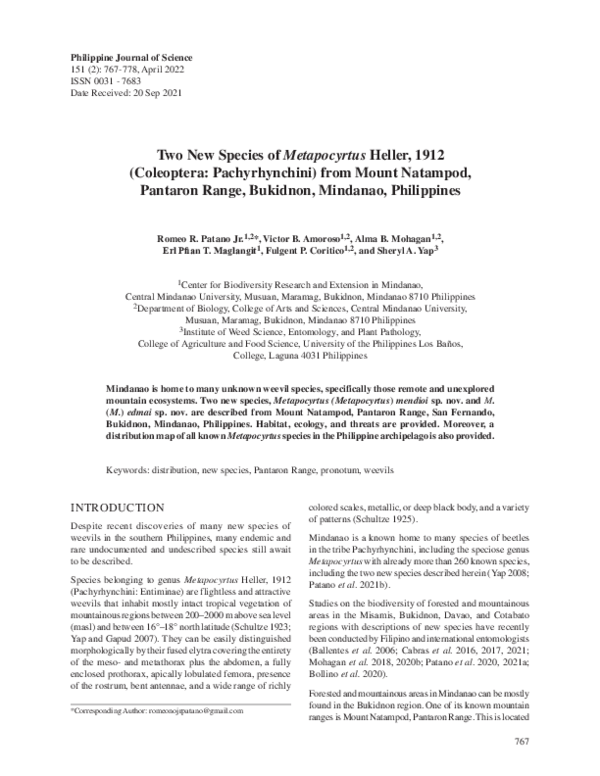 (PDF) Two New Species of Metapocyrtus Heller, 1912 (Coleoptera ...