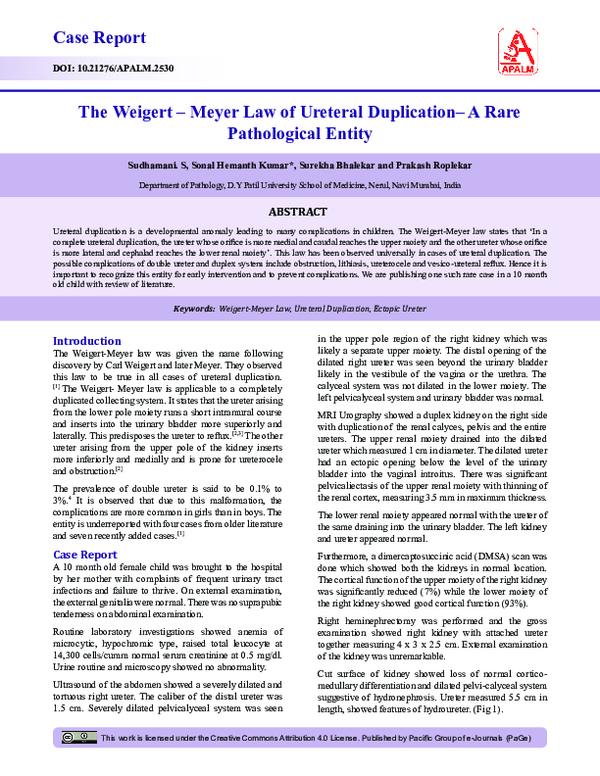 (PDF) The The Weigert – Meyer Law of Ureteral Duplication