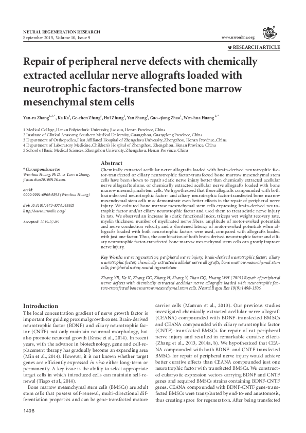 (PDF) Repair of peripheral nerve defects with chemically extracted ...