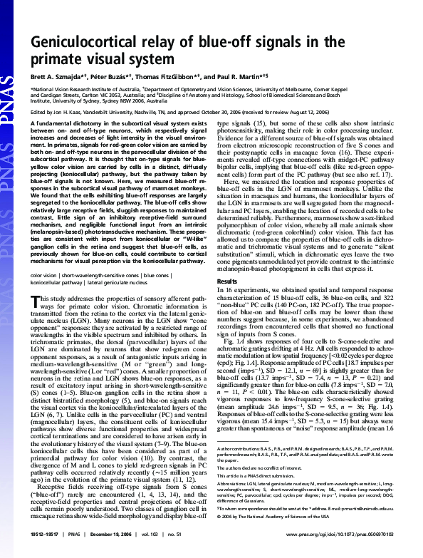 (PDF) Geniculocortical relay of blue-off signals in the primate visual ...