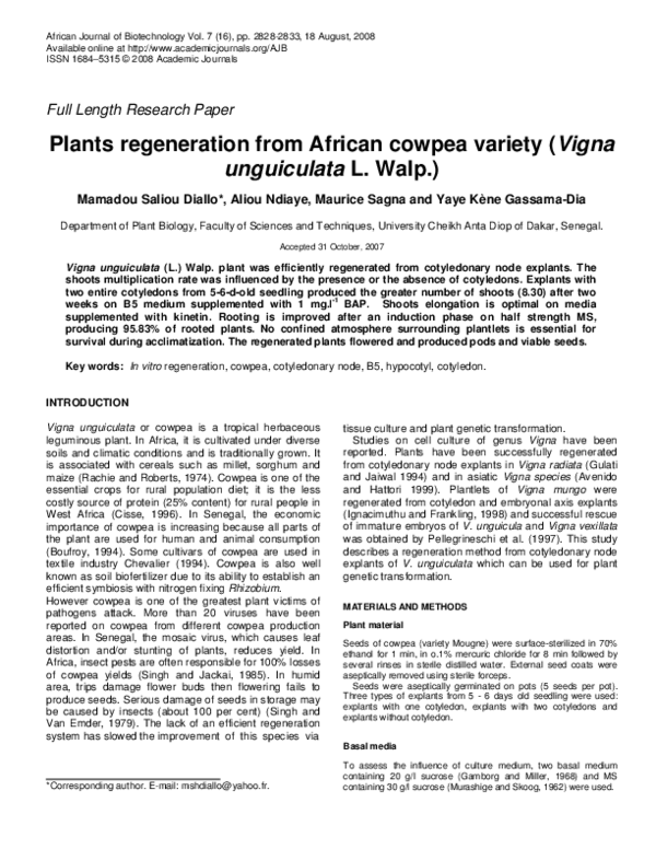 (PDF) Plants regeneration from African cowpea variety (Vigna ...