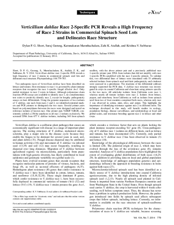 (PDF) Verticillium dahliae Race 2-Specific PCR Reveals a High Frequency of Race 2 Strains in ...