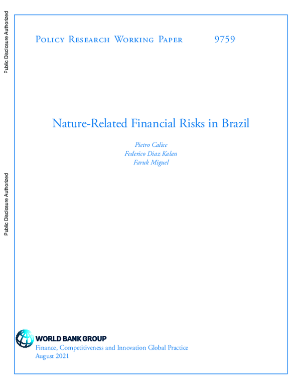 (PDF) Nature-Related Financial Risks in Brazil