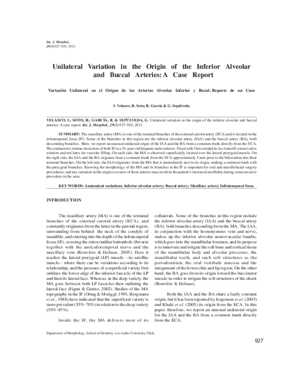 (PDF) Unilateral Variation in the Origin of the Inferior Alveolar and ...
