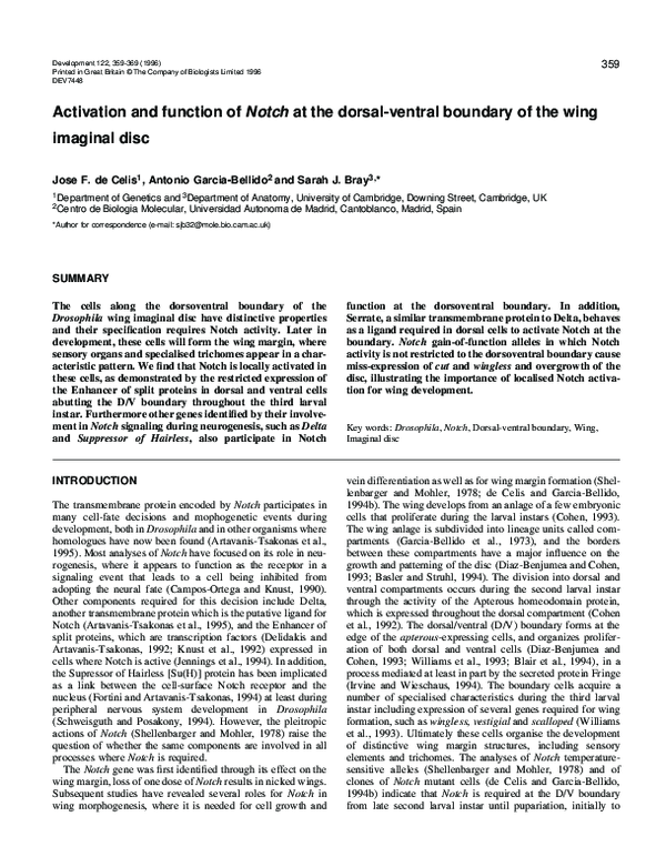 (PDF) Activation and function of Notch at the dorsal-ventral boundary ...