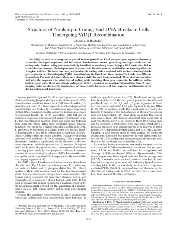 (PDF) Structure of Nonhairpin Coding-End DNA Breaks in Cells Undergoing ...