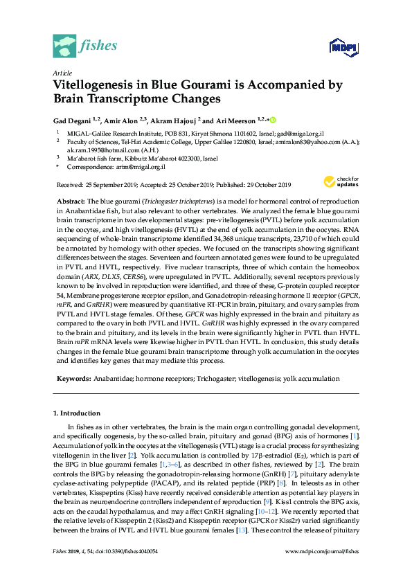 (PDF) Vitellogenesis in Blue Gourami is Accompanied by Brain ...