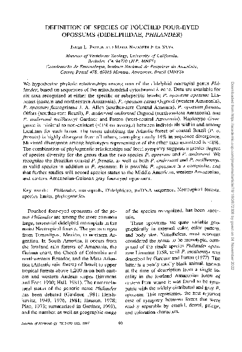 (PDF) Definition of Species of Pouched Four-Eyed Opossums (Didelphidae ...
