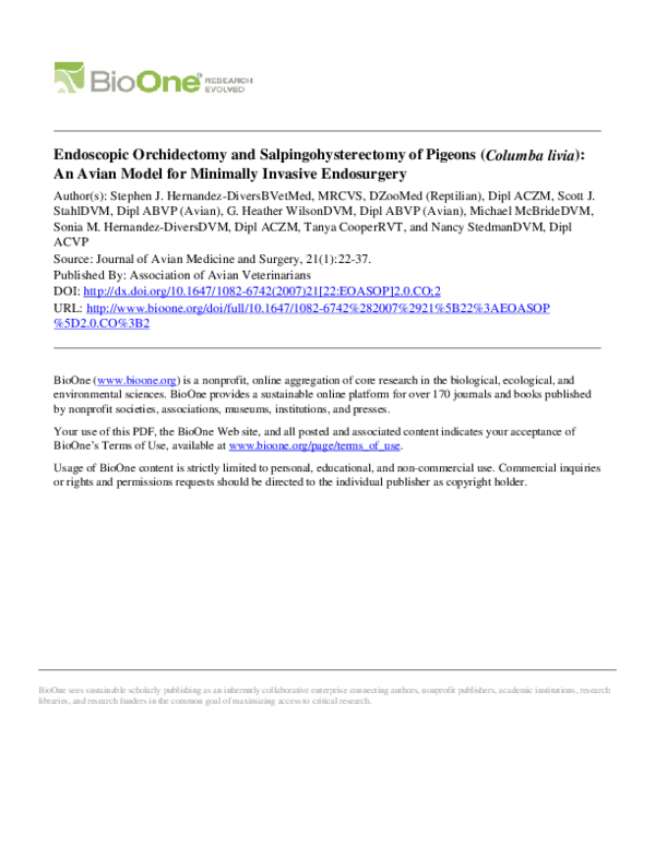 (PDF) Endoscopic Orchidectomy and Salpingohysterectomy of Pigeons ...
