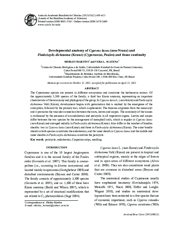 (PDF) Developmental anatomy of Cyperus laxus (non-Nranz) and ...