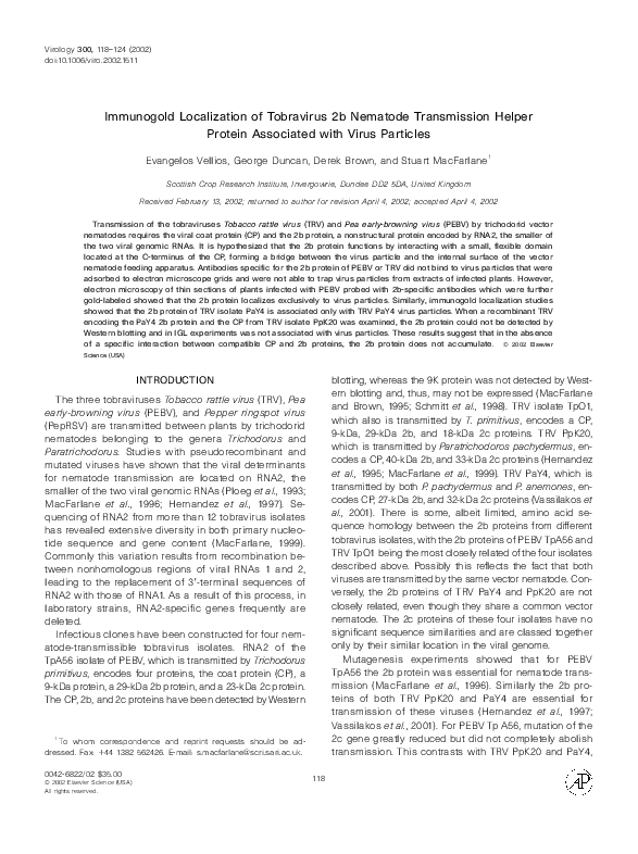 (PDF) Immunogold Localization of Tobravirus 2b Nematode Transmission ...