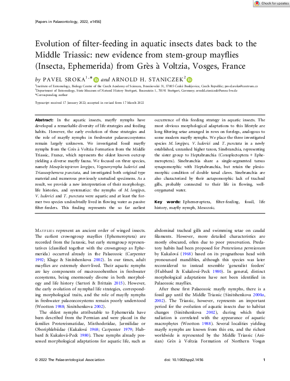 (PDF) Evolution of filter-feeding in aquatic insects dates back to the ...