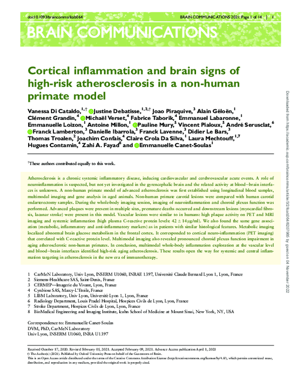 (PDF) Cortical inflammation and brain signs of high-risk ...