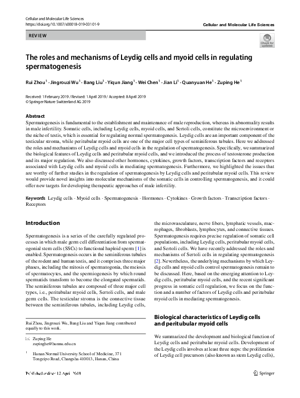 (PDF) The roles and mechanisms of Leydig cells and myoid cells in ...