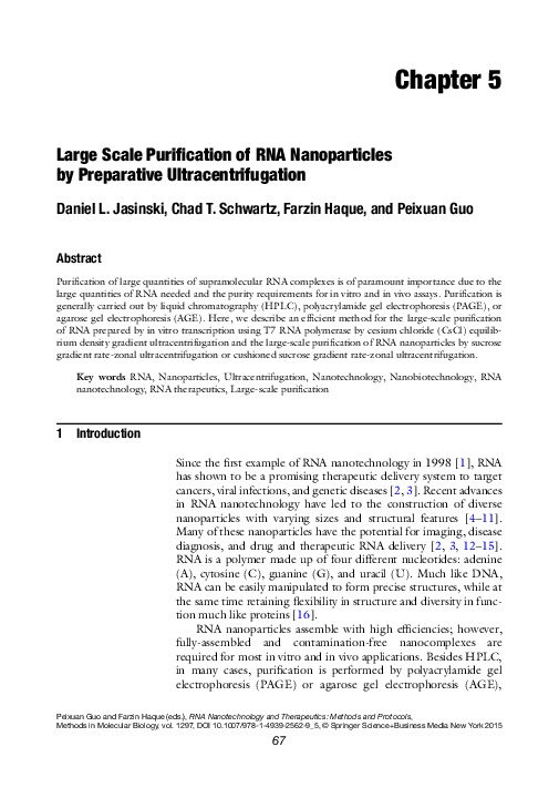 (PDF) Large scale purification of RNA nanoparticles by preparative ...
