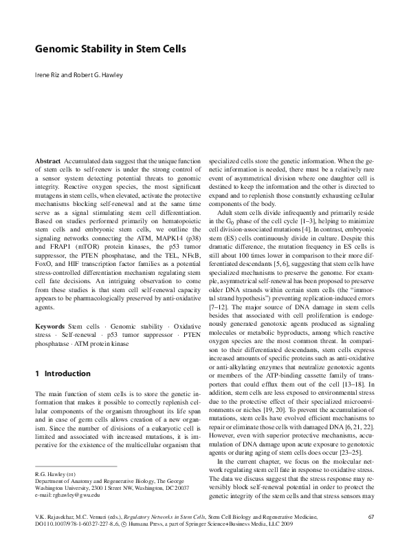 (PDF) Genomic Stability in Stem Cells