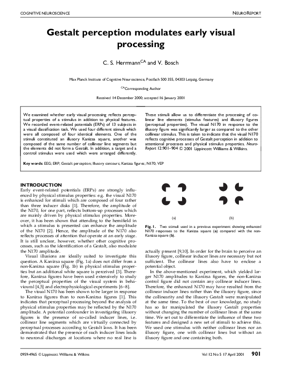 (PDF) Gestalt perception modulates early visual processing