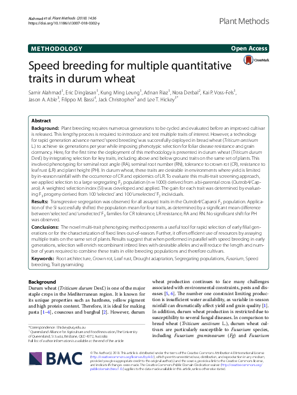 (PDF) Speed breeding for multiple quantitative traits in durum wheat