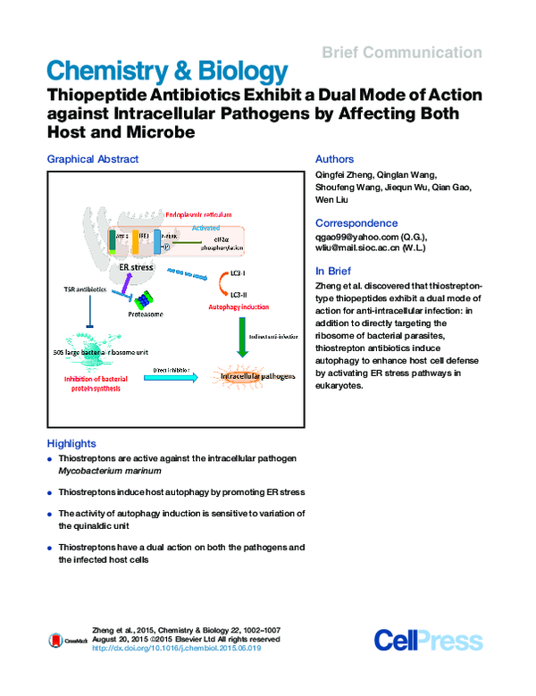 (PDF) Thiopeptide Antibiotics Exhibit a Dual Mode of Action against ...